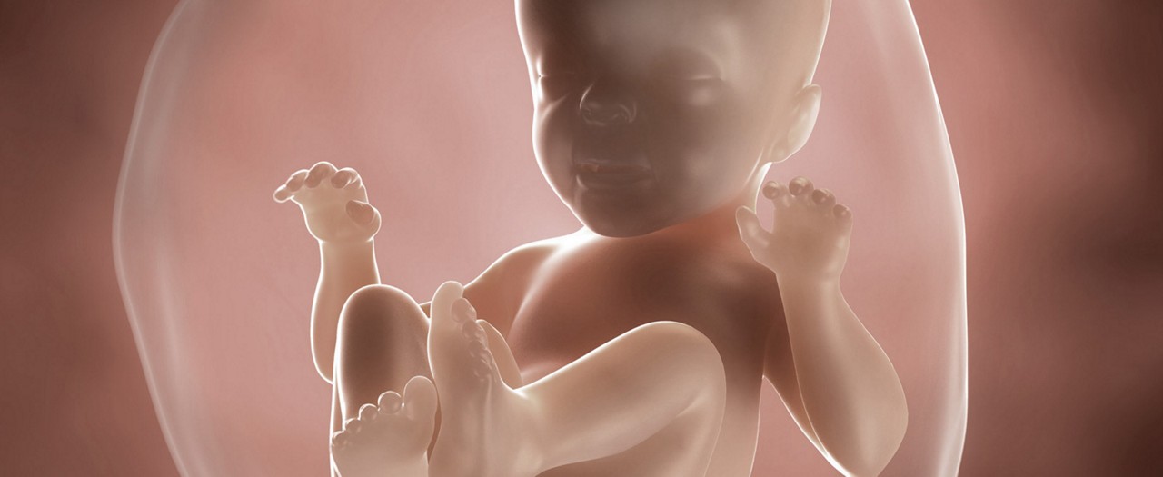 26 SSW Schwangerschaftswoche: Schwangerschaftskalender│Aptaclub